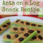 Ants on a Log Snack | Kid Friendly Snack Idea