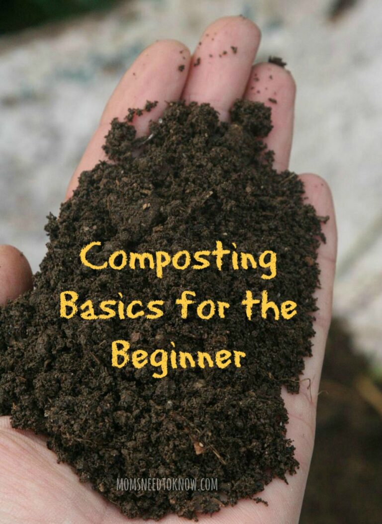 Composting Basics | How To Get Started With Composting | Moms Need To ...