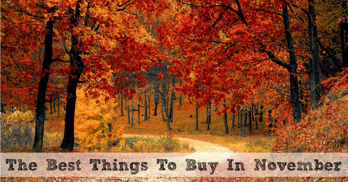 The Best Things To Buy In November | Moms Need To Know