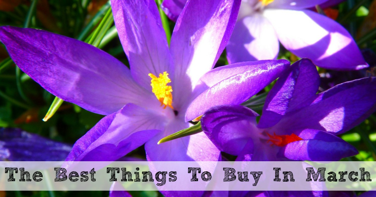 The Best Things To Buy In March | Moms Need To Know