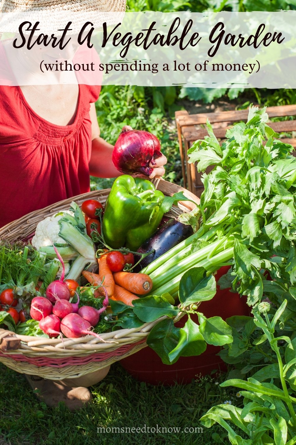 How to Start a Garden - Start a Vegetable Garden Inexpensively