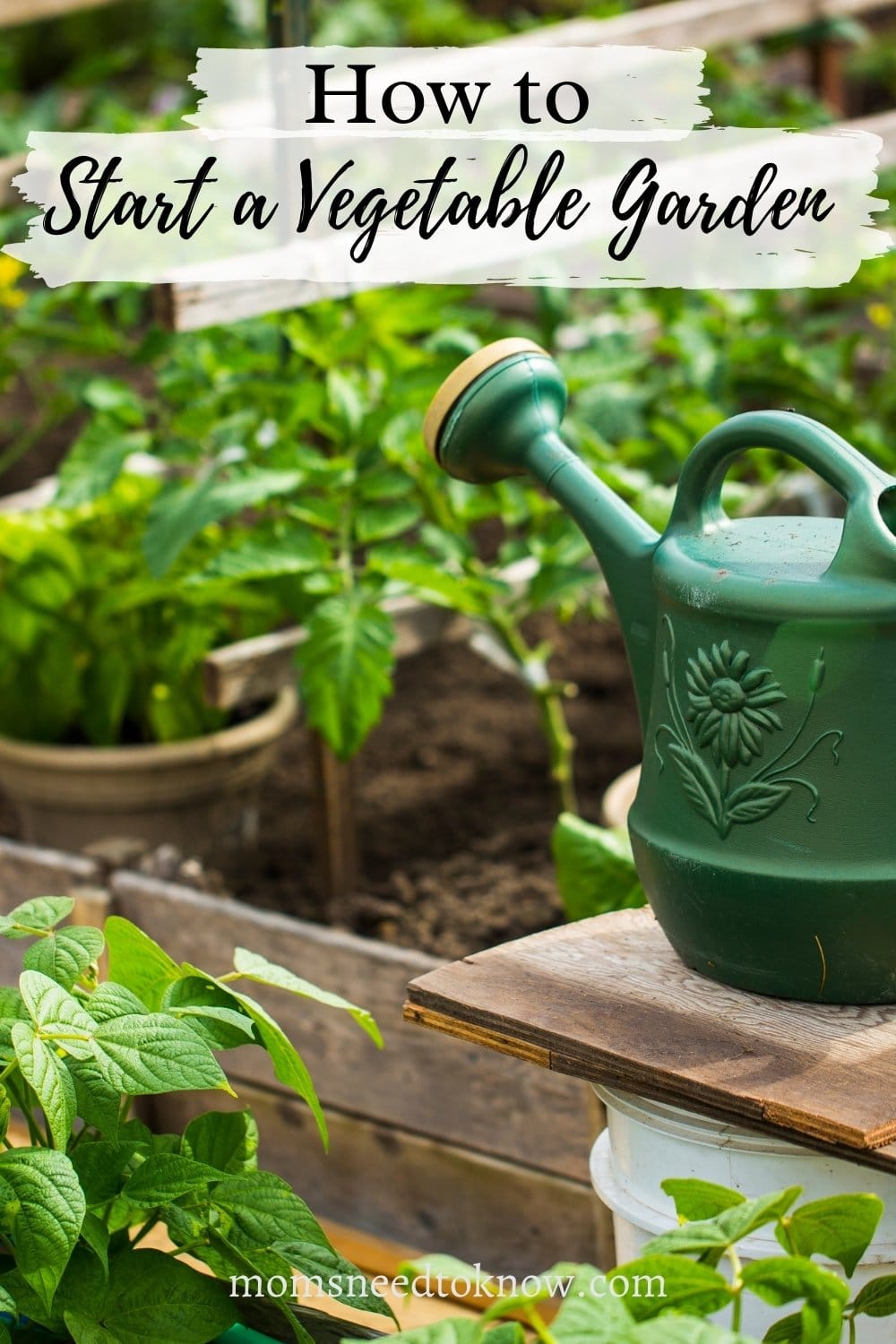 How to Start a Garden - Start a Vegetable Garden Inexpensively